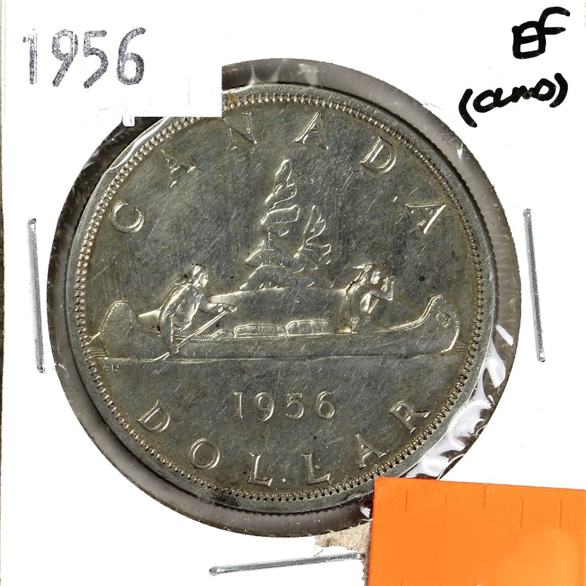 1956 Canada Dollar Extra Fine (EF40) Scratched, cleaned, or impaired – Colonial Acres Coins
