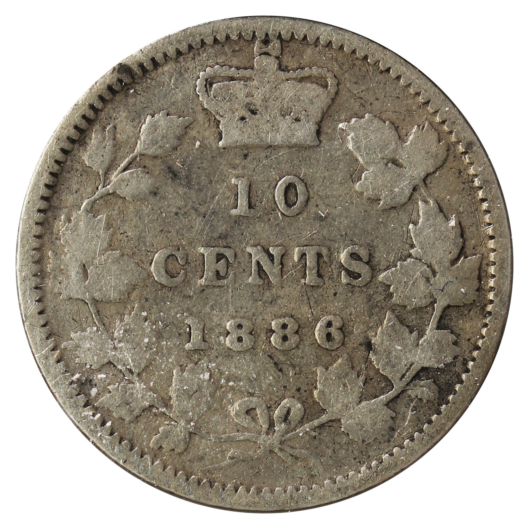 1886 Large Knobbed 6 Obv. 5 Canada 10-cents About Good (AG3) Scratched – Colonial Acres Coins