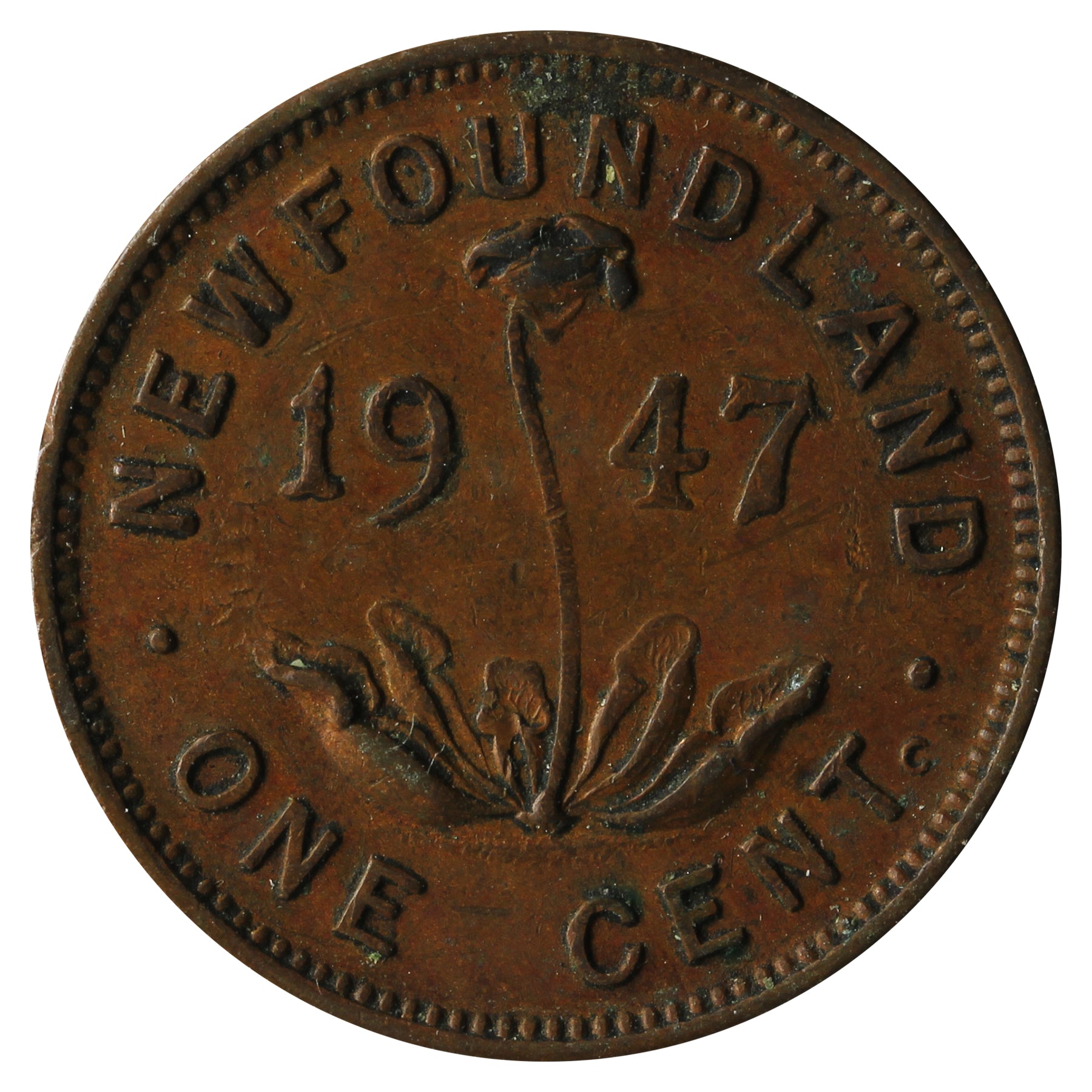 1947C Newfoundland 1-cent VF-EF (VF-30) – Colonial Acres Coins