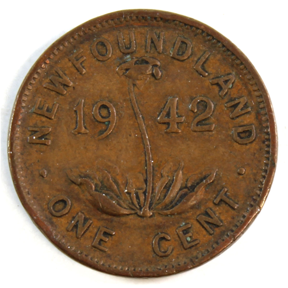 1942 Newfoundland 1-cent Fine (F-12) – Colonial Acres Coins