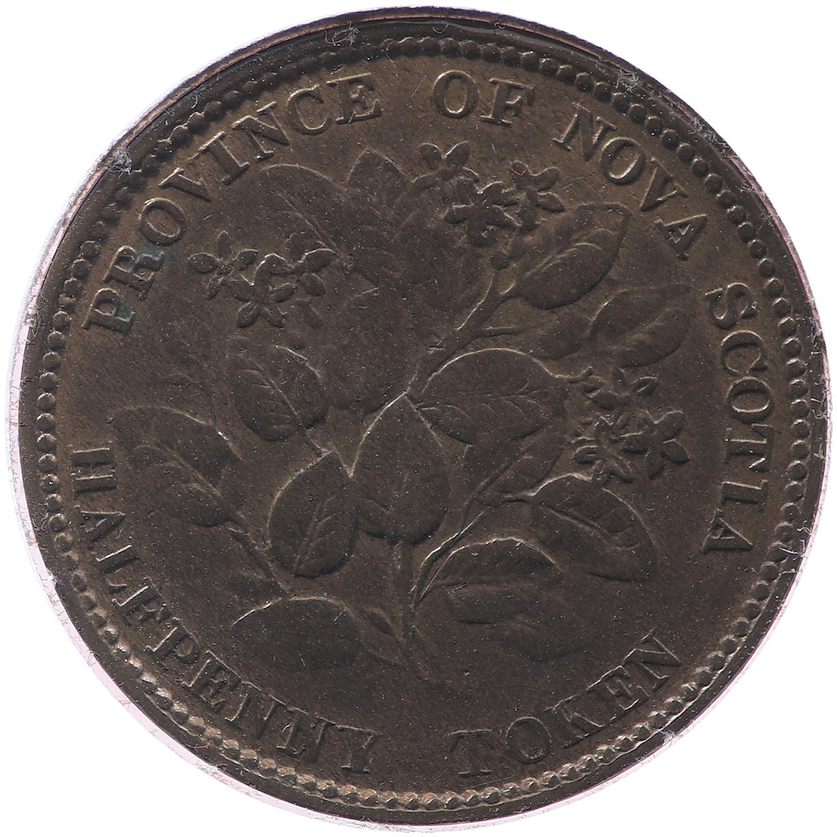 NS-5A1 1856 Nova Scotia Victoria Mayflower Half Penny Token Fine (F-12 ...