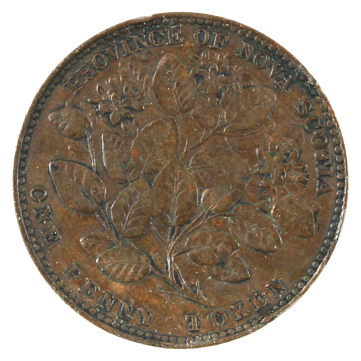 NS-6A2 1856 Nova Scotia Mayflower One Penny Bank Token, VF-EF (VF30 ...