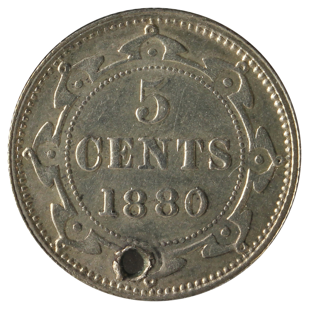Newfoundland 5 cents (1865-1947) - Colonial Acres Coins