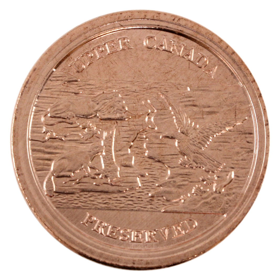 Copper Bullion - Colonial Acres Coins
