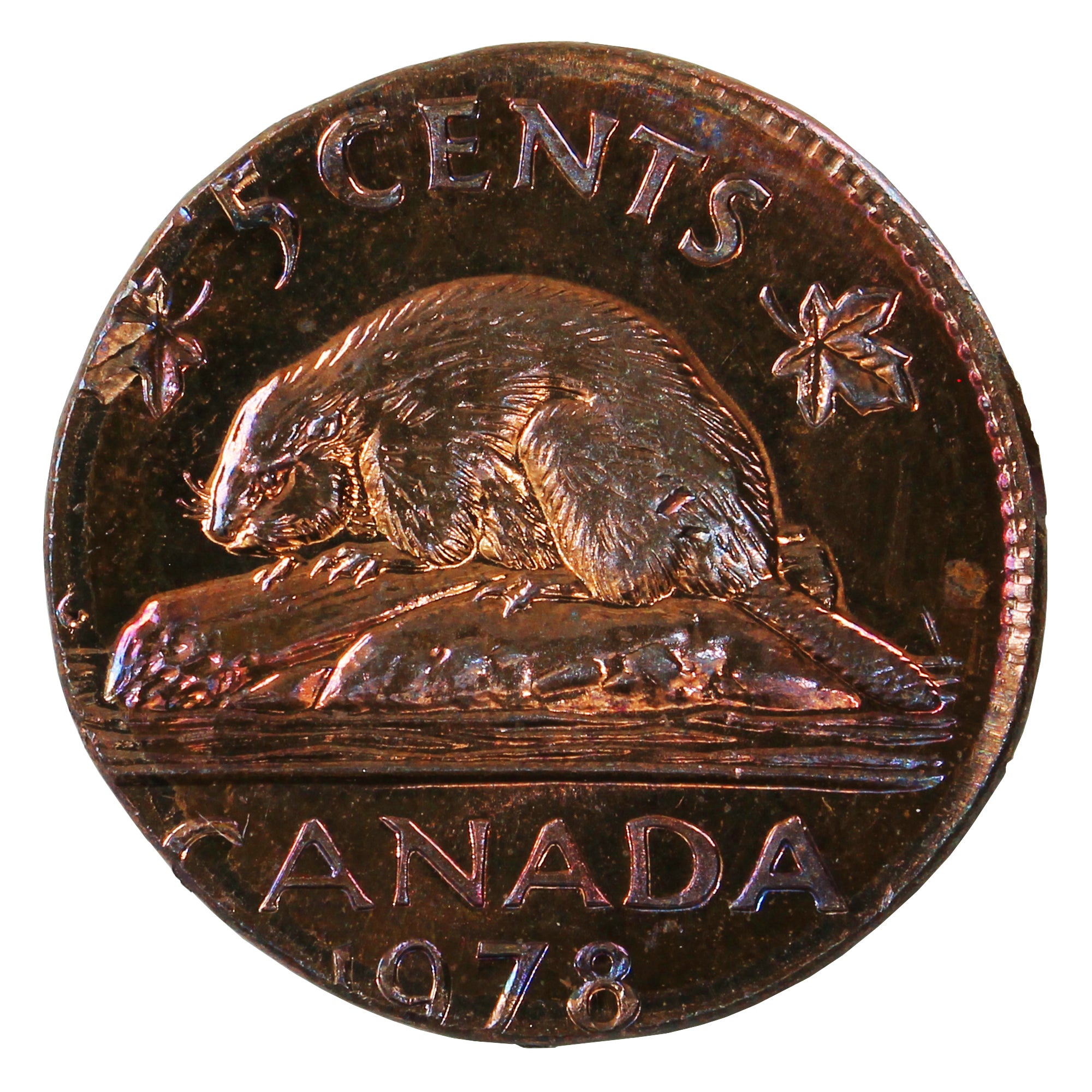 ERROR 1978 Canada 5-cent Struck on Foreign Planchet Brilliant Uncircul – Colonial Acres Coins