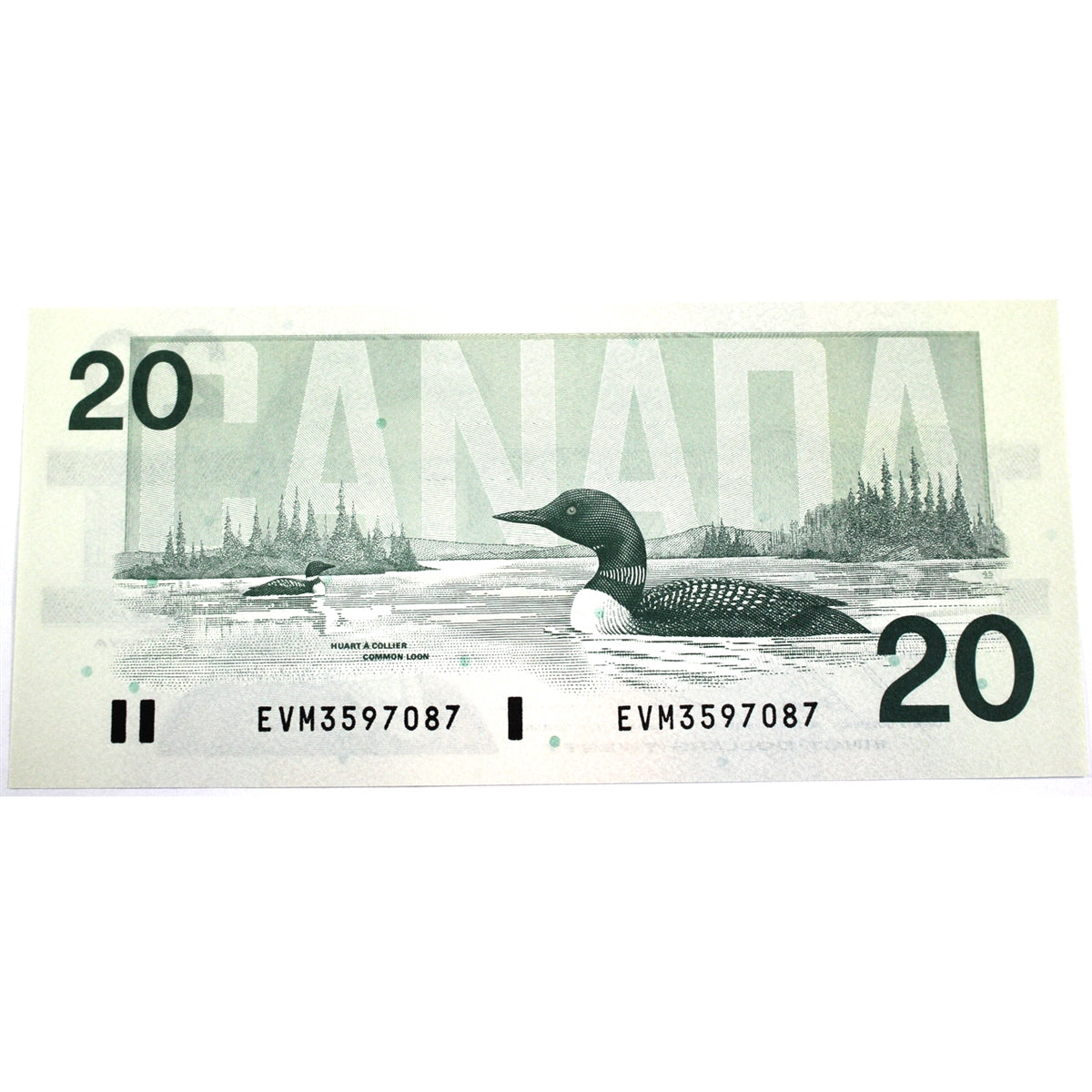 BC-58b 1991 Canada $20 Bonin-Thiessen, EVM, Choice Uncirculated (CUNC6 ...